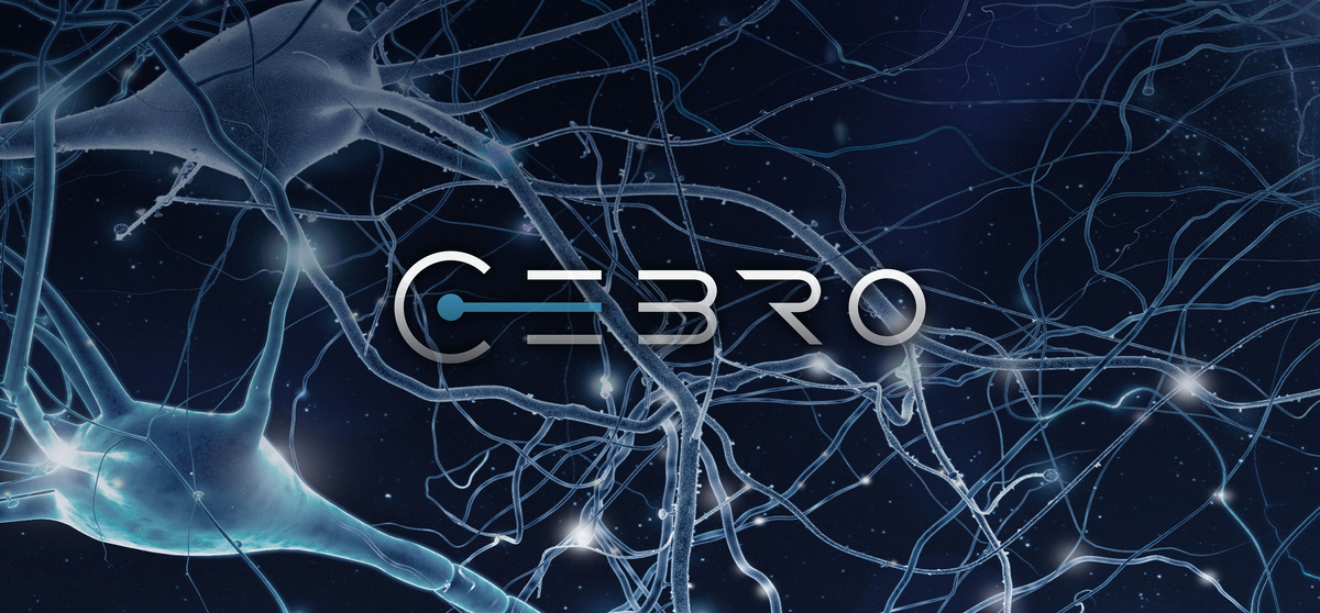 DIEFFENBACHER supports Uniboard’s ‘Renaissance’ project with new CEBRO ...